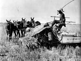 Grain Reaper Patented